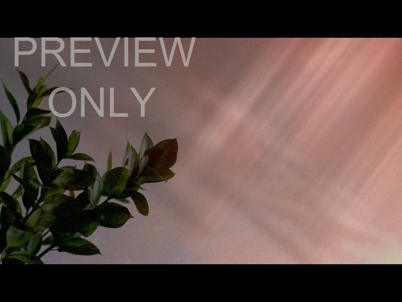 Flourish Still 04 | Timber & Pearl | WorshipHouse Media