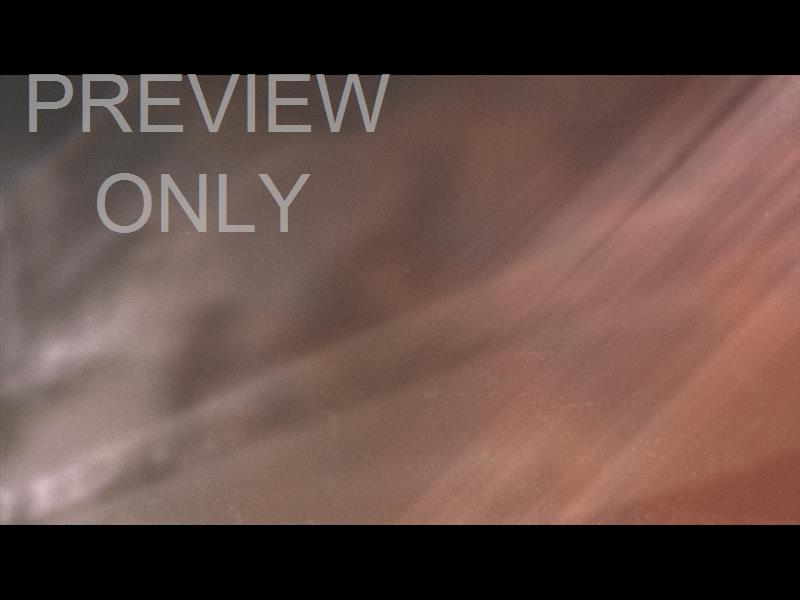 Flourish Still 07 | Timber & Pearl | WorshipHouse Media