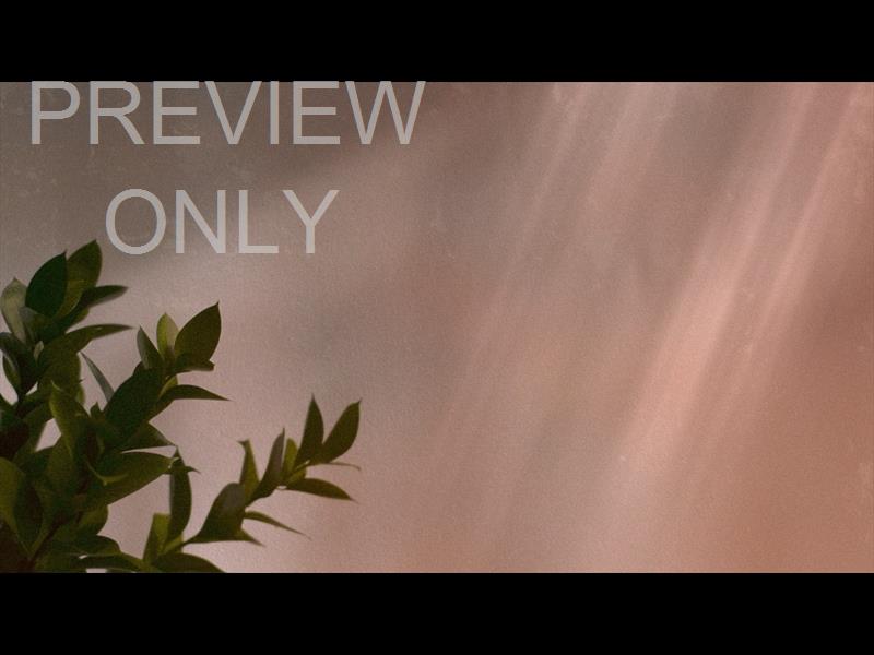 Flourish Still 08 | Timber & Pearl | WorshipHouse Media