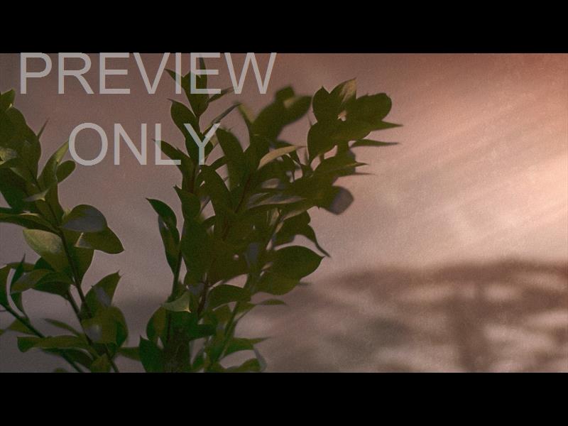 Flourish Collection | Timber & Pearl | WorshipHouse Media