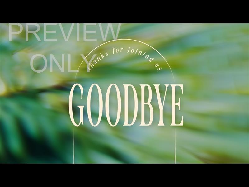 Forest Light Goodbye Still | Timber & Pearl | WorshipHouse Media