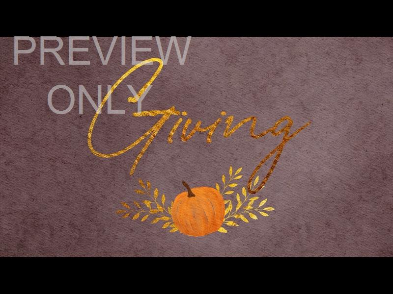 Harvest Pumpkin Collection | Timber & Pearl | WorshipHouse Media