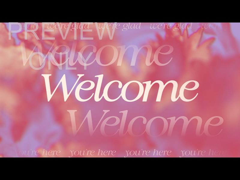 Made Beautiful Collection | Timber & Pearl | WorshipHouse Media