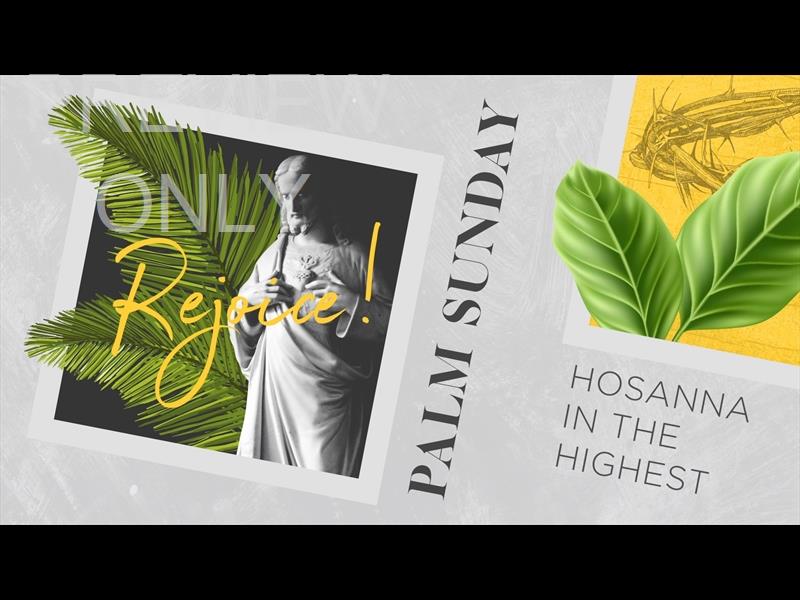 Polaroid Palm Still Palm Sunday | Timber & Pearl | WorshipHouse Media