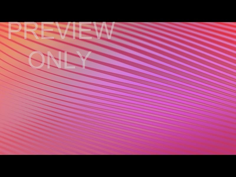 Summer Rays Still 02 | Timber & Pearl | WorshipHouse Media