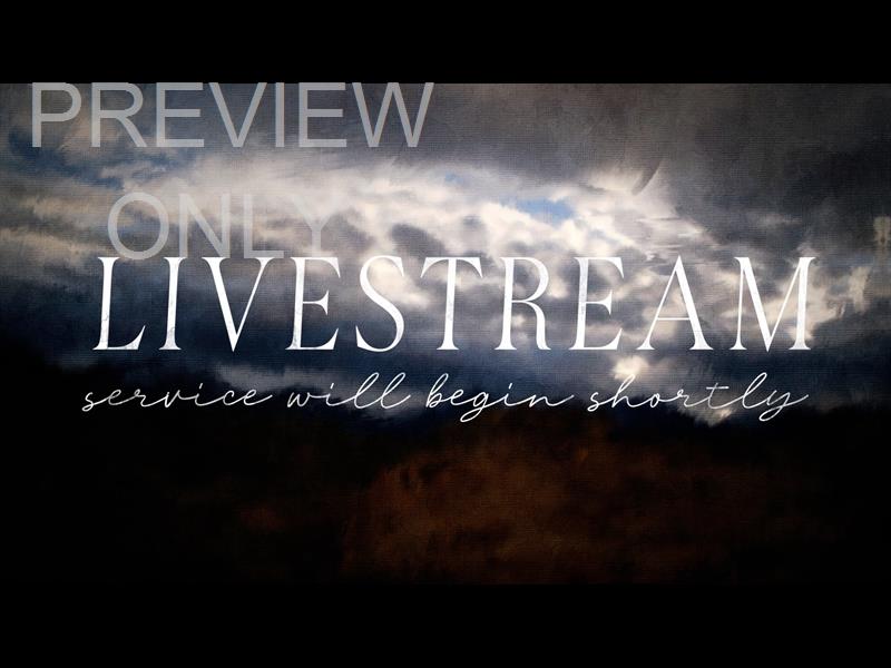 Your Kingdom Collection | Timber & Pearl | WorshipHouse Media