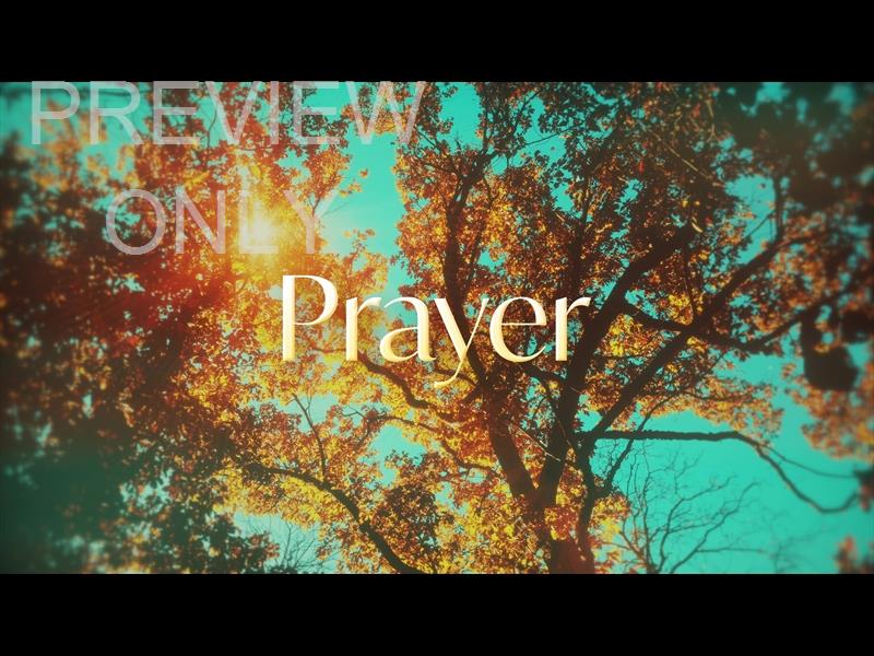 Autumn Canopies Prayer Still | Shift Worship | WorshipHouse Media