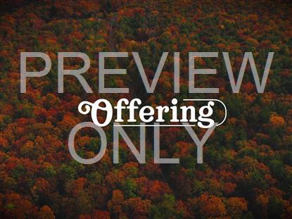 Autumn Colors Collections | Shift Worship | WorshipHouse Media