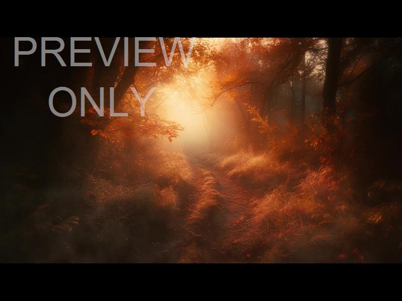 | Playback Media Store