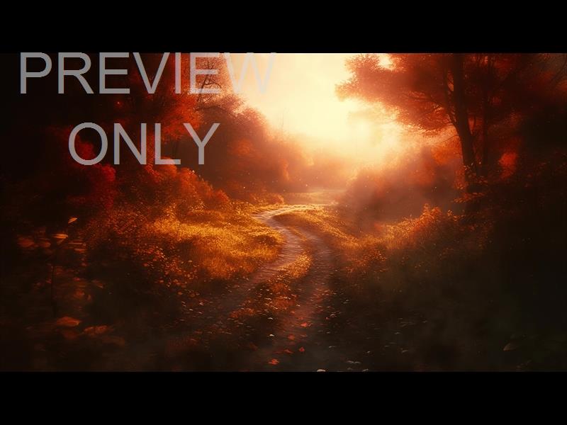 Autumn Path Collection | Shift Worship | WorshipHouse Media