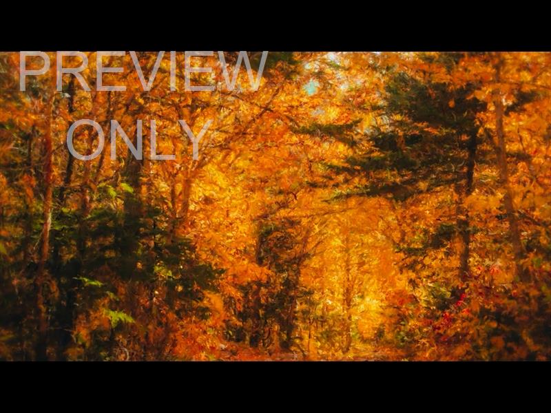 Autumn Vibes 1 Still | Shift Worship | WorshipHouse Media