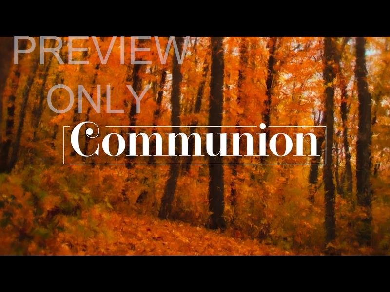 Autumn Vibes Communion Still | Shift Worship | WorshipHouse Media