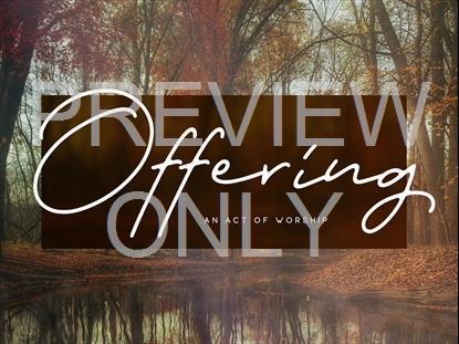 Search | Playback Media Store