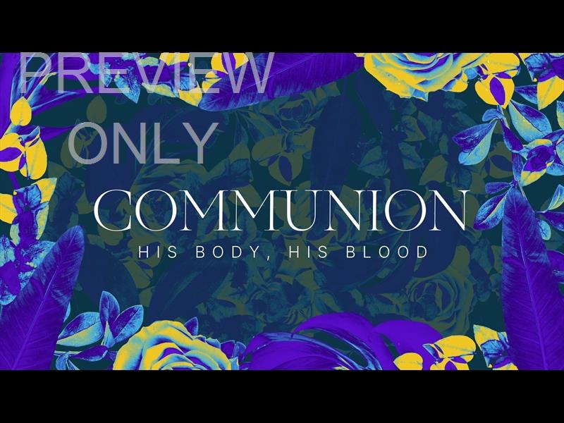 Search | Playback Media Store