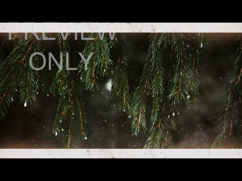 Evergreen Collection | Shift Worship | Playback Media Store