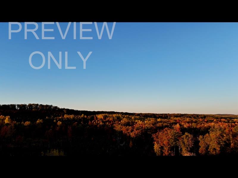 Fall Foliage Collection | Shift Worship | WorshipHouse Media