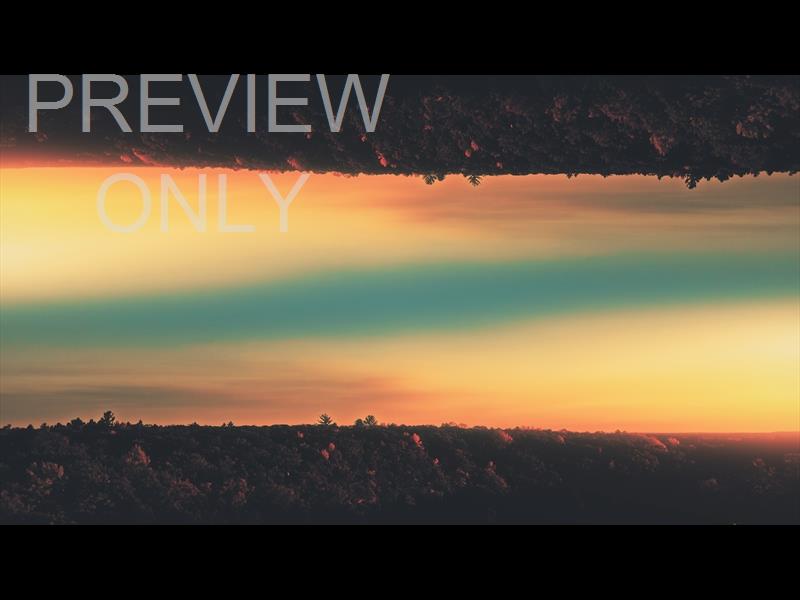 Fall Foliage Remixed Collection | Shift Worship | Playback Media Store