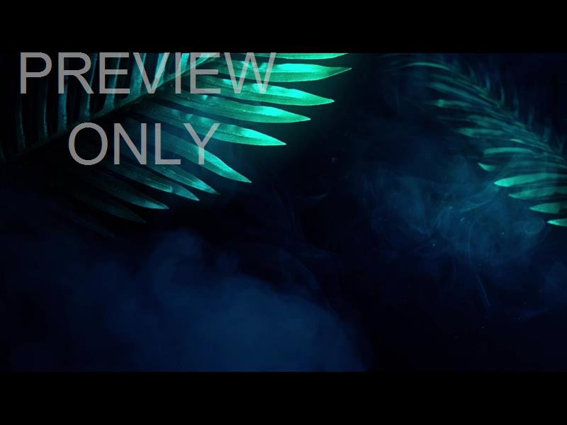 Holy Week Reflections 13 Still | Shift Worship | Playback Media Store