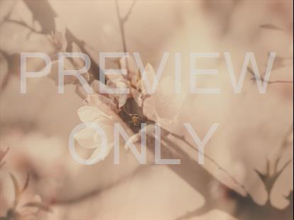 Muted Spring Collection | Shift Worship | WorshipHouse Media