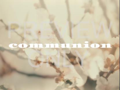 Search | Playback Media Store