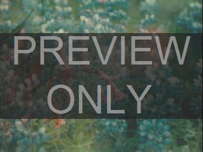 Search | Playback Media Store