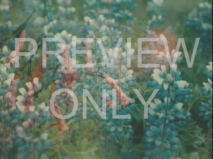 Muted Spring Collection | Shift Worship | Playback Media Store