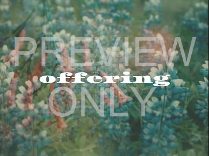 Muted Spring Collection | Shift Worship | WorshipHouse Media