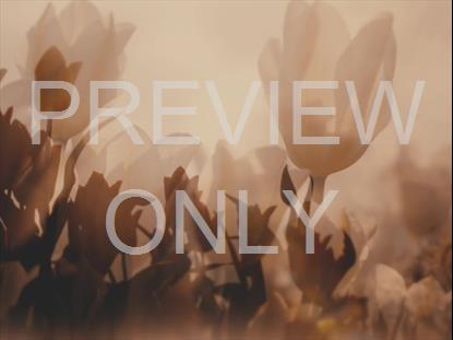 Muted Spring Collection | Shift Worship | Playback Media Store