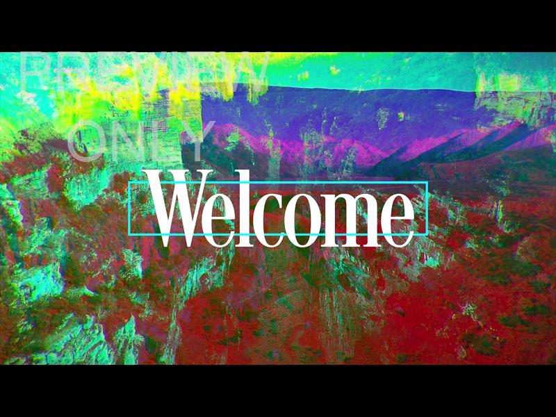 Search | Playback Media Store