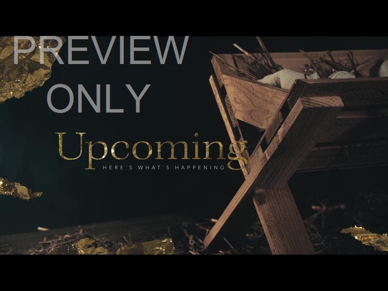 Christmas Manger Collection | Shift Worship | Playback Media Store