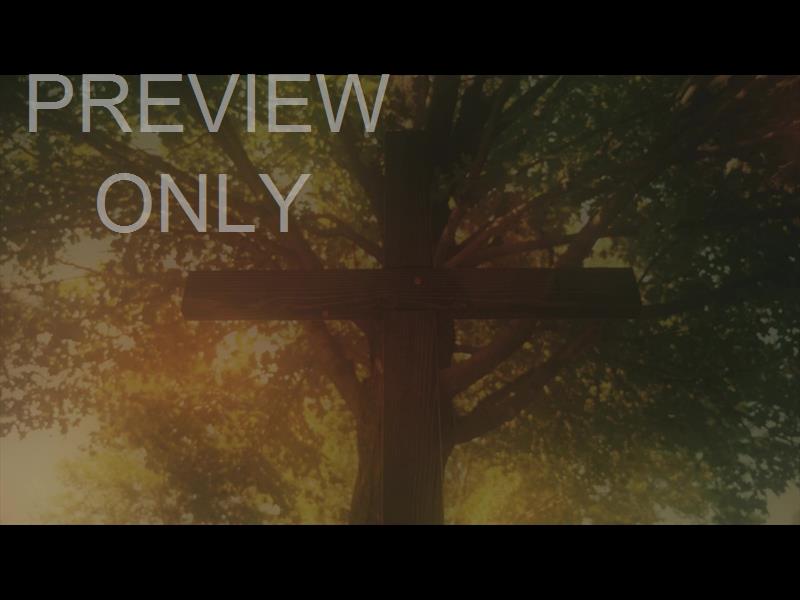 Nature Cross Collection | Shift Worship | WorshipHouse Media