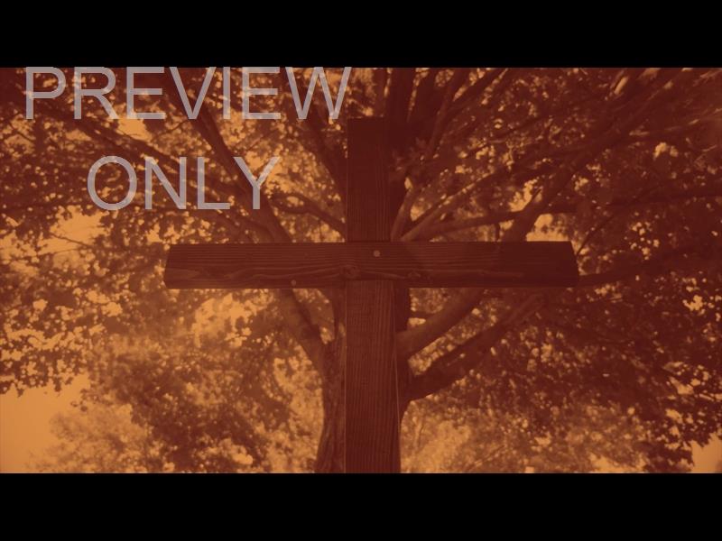 Nature Cross Collection | Shift Worship | WorshipHouse Media