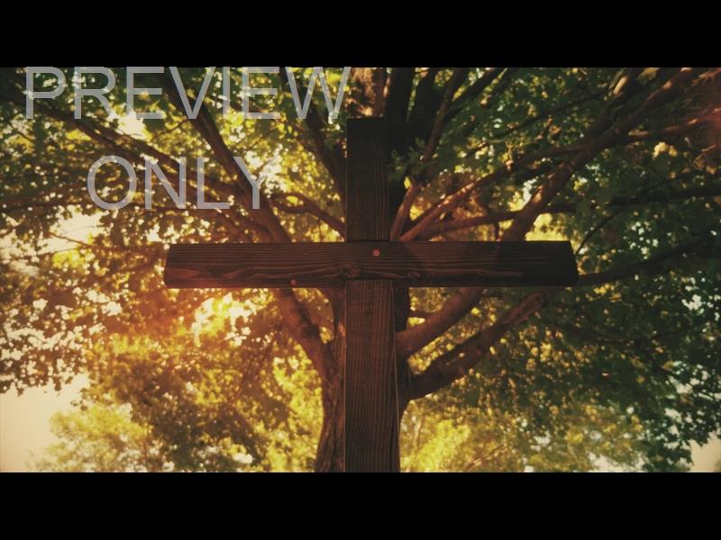 Nature Cross Collection | Shift Worship | Playback Media Store