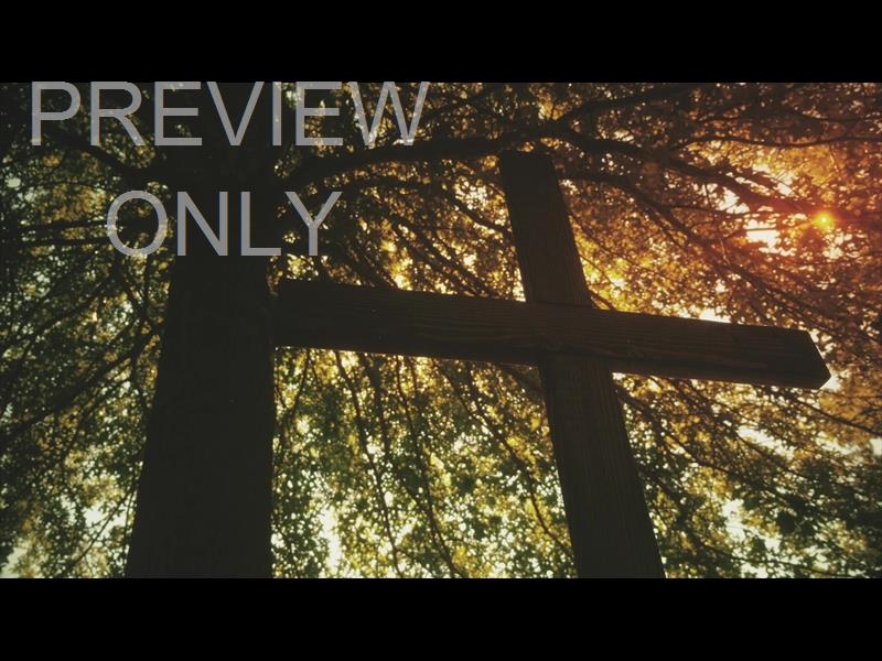 Nature Cross Collection | Shift Worship | Playback Media Store