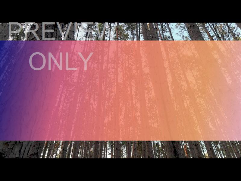 The Forest 5 Bar Still | Shift Worship | Playback Media Store