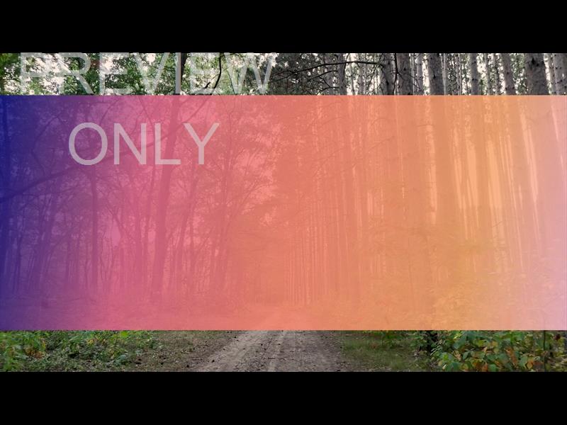 The Forest 6 Bar Still | Shift Worship | WorshipHouse Media
