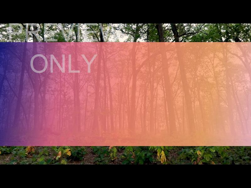 The Forest 7 Bar Still | Shift Worship | WorshipHouse Media