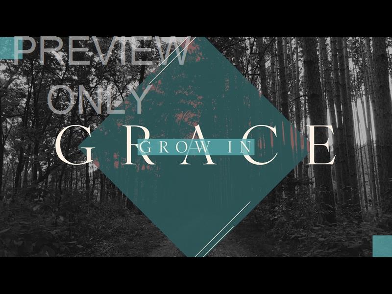 The Forest Collection | Shift Worship | WorshipHouse Media