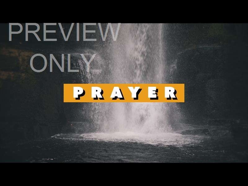 Search | Playback Media Store