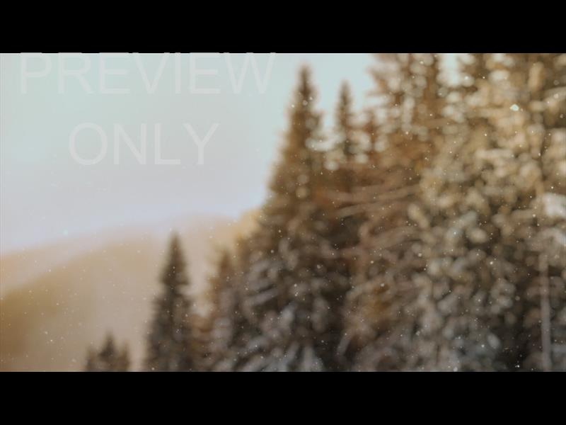 Snow Shimmer: 02 Still | Visual Revival | WorshipHouse Media