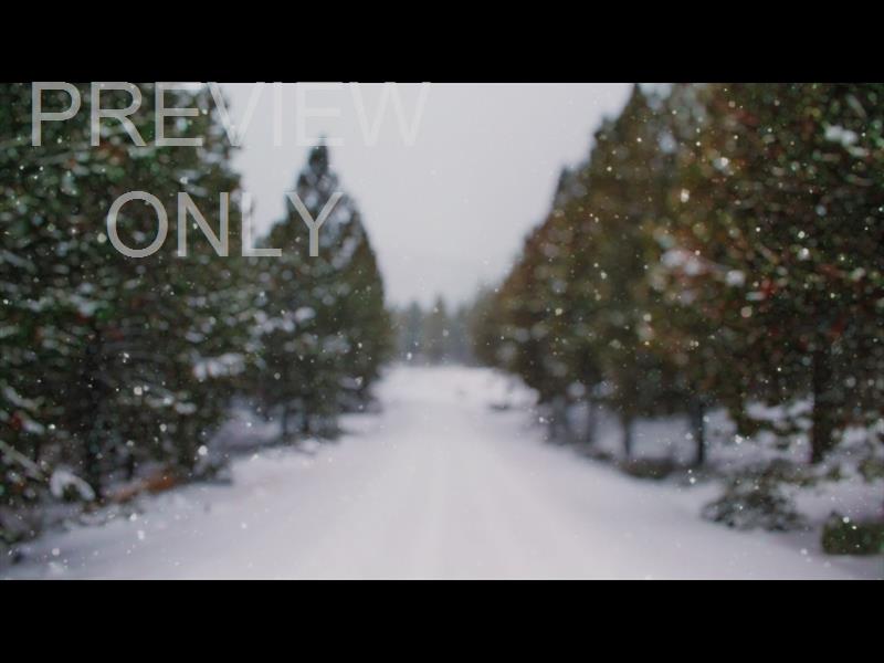 Snow Shimmer: 05 Still | Visual Revival | WorshipHouse Media