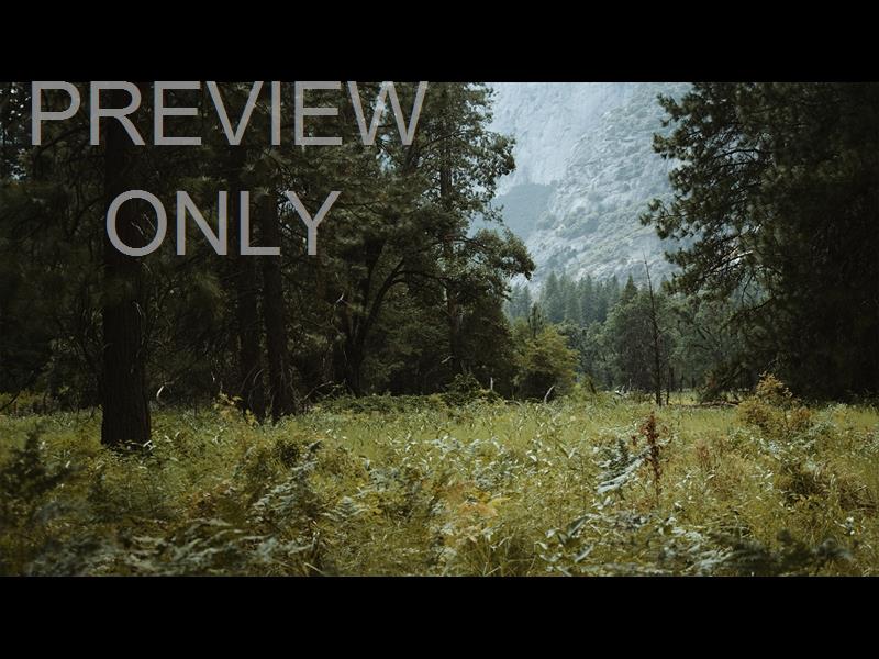 Yosemite Meadows | Visual Revival | WorshipHouse Media