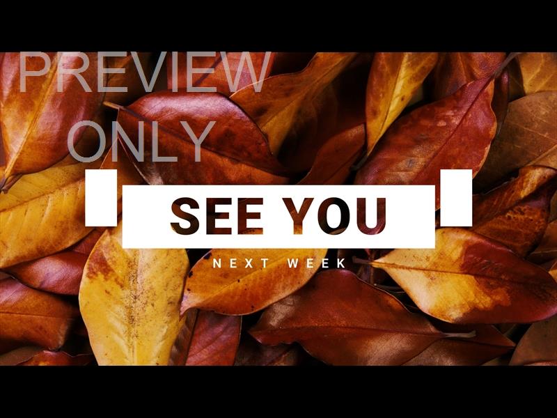 Autumn Leaves | Visual Church | WorshipHouse Media