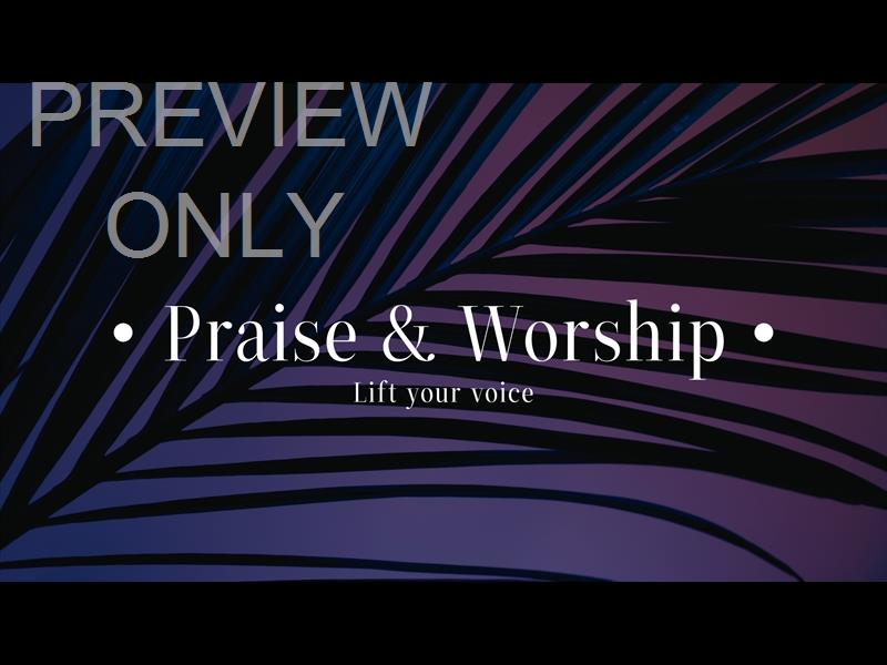 Cinematic Palms | Visual Church | WorshipHouse Media