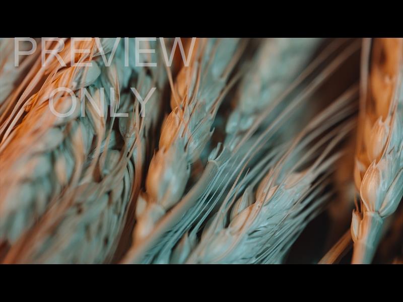 Communion | Visual Church | WorshipHouse Media