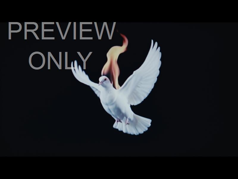 Easter Figures Holy Spirit Still | Visual Church | WorshipHouse Media