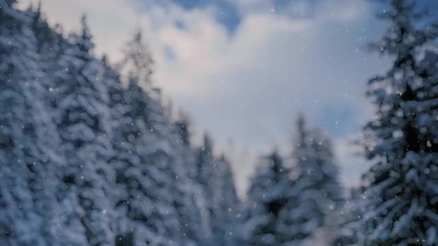Snow Background Tumblr Hd